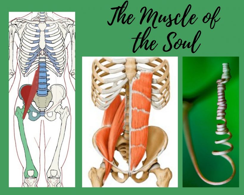 Workshop - The Muscle of the Soul (Psoas/Iliacus) - Rosaria Gracia